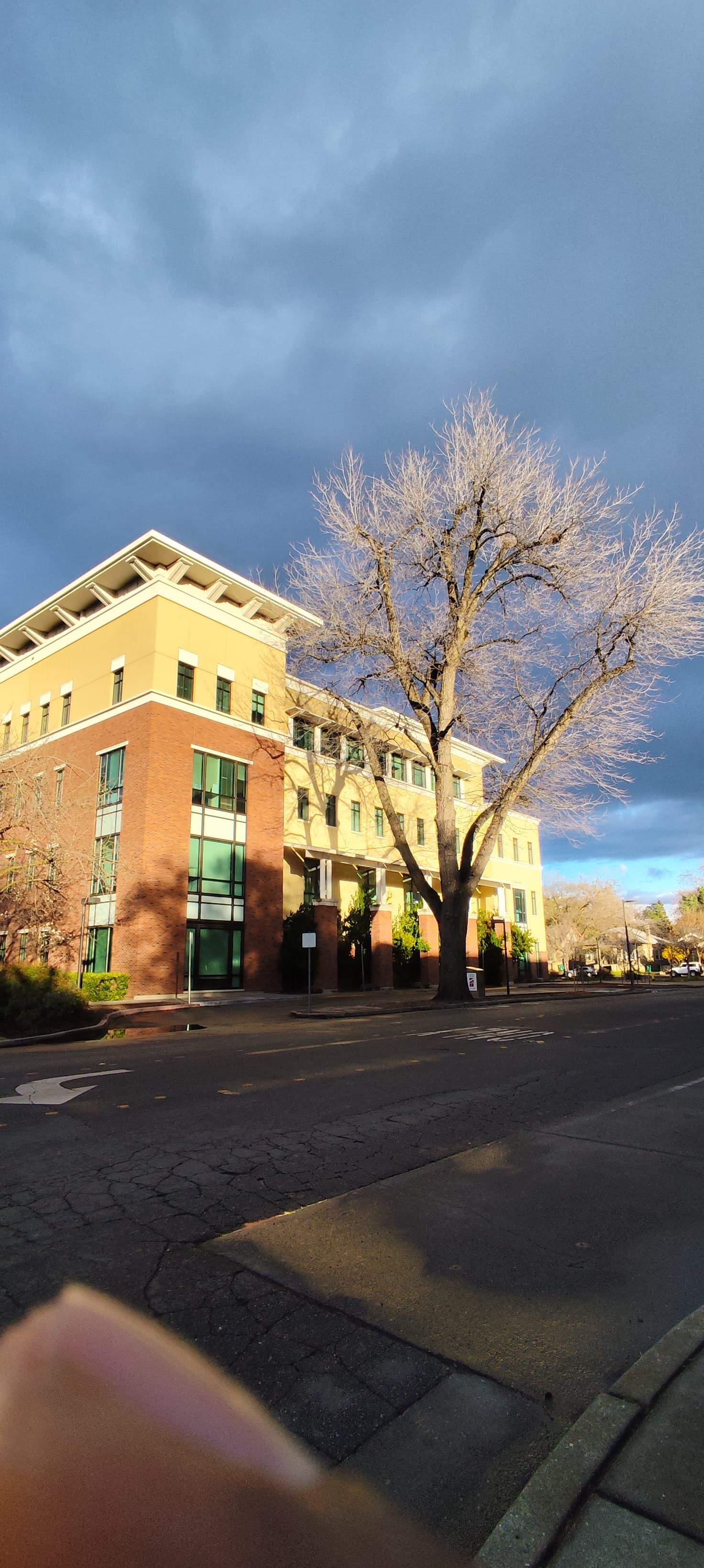 California State University [CSU CHICO] Chico Admissions 2025: Application Deadline, Eligibility ...